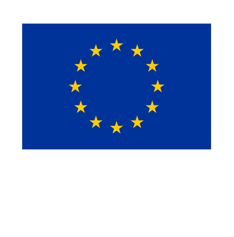 President announces the regularisation of young Algerians living ...